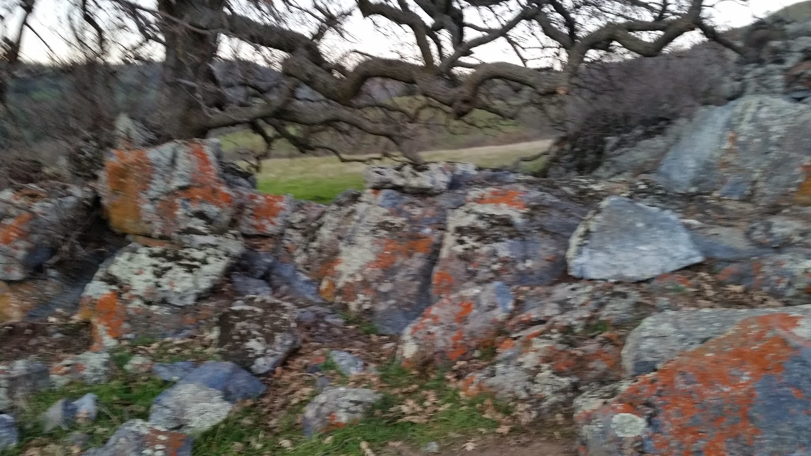 BEAUTIFUL SUNOL WILDERNESS (WATERFALLS),MCCORKLE TRAIL - Bay Area Backroads